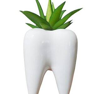 3.93 Inches Tall Tooth Shaped Ceramic Succulent Cactus Vase Flower Pot (Plants Not Included)