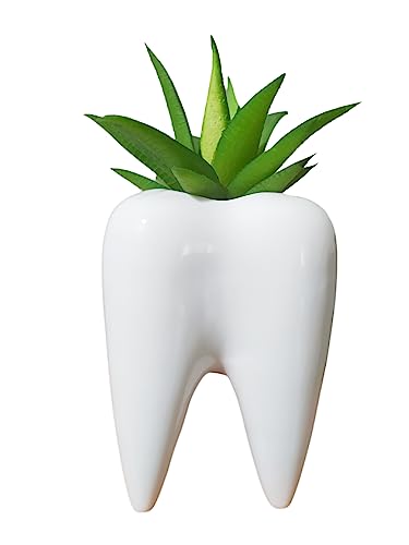 3.93 Inches Tall Tooth Shaped Ceramic Succulent Cactus Vase Flower Pot (Plants Not Included)