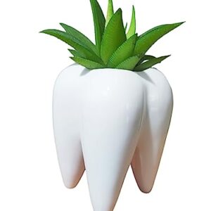 3.93 Inches Tall Tooth Shaped Ceramic Succulent Cactus Vase Flower Pot (Plants Not Included)