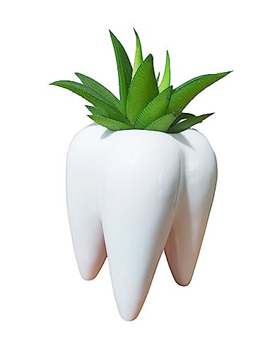 3.93 Inches Tall Tooth Shaped Ceramic Succulent Cactus Vase Flower Pot (Plants Not Included)