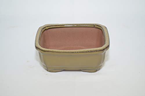 Bonsai Ceramic Pot 5" Rectangle Shape,Brown Color with draining Holes.