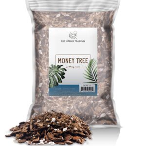 Money Tree Soil, Soil Mix for Planting or Repotting Money Tree, 4qt One Gallon Bag of Soil Blended to Properly Grow Money Tree Plants