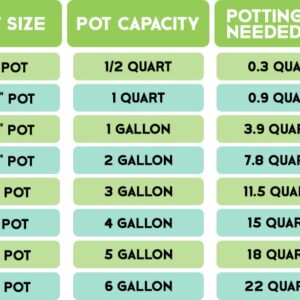 Money Tree Soil, Soil Mix for Planting or Repotting Money Tree, 4qt One Gallon Bag of Soil Blended to Properly Grow Money Tree Plants