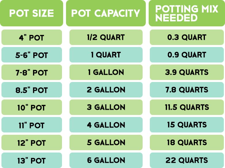 Money Tree Soil, Soil Mix for Planting or Repotting Money Tree, 4qt One Gallon Bag of Soil Blended to Properly Grow Money Tree Plants