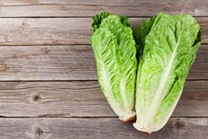 oldladyrenee: 500+ lettuce, romaine-parris island seeds