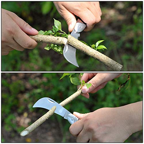 LCDCM Grafting knife/bud shoot knife/pruning knife/portable orchard stainless steel straight blade and Hawk blade (Single-Edged Knife)