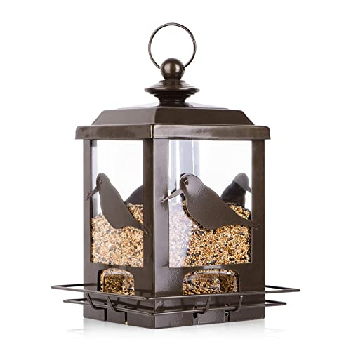 BOLITE 18034 Bird Feeder, Panorama Bird Feeder Single-Deck Lantern 8inch Tall Bird Feeder for Garden Yard Decoration, Bronze, 2lb