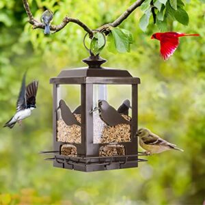 BOLITE 18034 Bird Feeder, Panorama Bird Feeder Single-Deck Lantern 8inch Tall Bird Feeder for Garden Yard Decoration, Bronze, 2lb