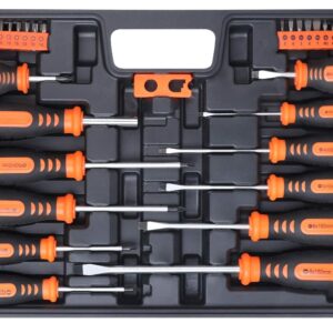 HORUSDY 33-Piece Magnetic Screwdrivers Set with Case, Includs Phillips, Slotted, Pozidriv, Torx