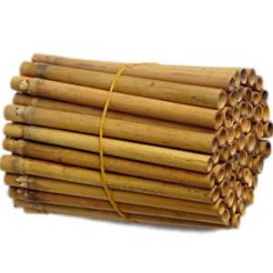 IA Crafts Bamboo Tubes, for Mason Bees, Natural Bamboo Bee Nest, Easy to Split for Cocoon Harvest, 5.9" Long and 0.27"-0.4" Inner Diameter (0.75)