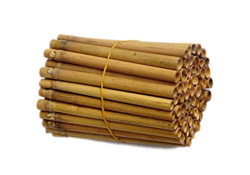 IA Crafts Bamboo Tubes, for Mason Bees, Natural Bamboo Bee Nest, Easy to Split for Cocoon Harvest, 5.9" Long and 0.27"-0.4" Inner Diameter (0.75)