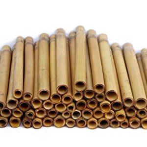 IA Crafts Bamboo Tubes, for Mason Bees, Natural Bamboo Bee Nest, Easy to Split for Cocoon Harvest, 5.9" Long and 0.27"-0.4" Inner Diameter (0.75)