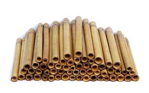 IA Crafts Bamboo Tubes, for Mason Bees, Natural Bamboo Bee Nest, Easy to Split for Cocoon Harvest, 5.9" Long and 0.27"-0.4" Inner Diameter (0.75)