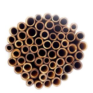 IA Crafts Bamboo Tubes, for Mason Bees, Natural Bamboo Bee Nest, Easy to Split for Cocoon Harvest, 5.9" Long and 0.27"-0.4" Inner Diameter (0.75)