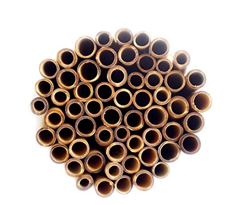 IA Crafts Bamboo Tubes, for Mason Bees, Natural Bamboo Bee Nest, Easy to Split for Cocoon Harvest, 5.9" Long and 0.27"-0.4" Inner Diameter (0.75)