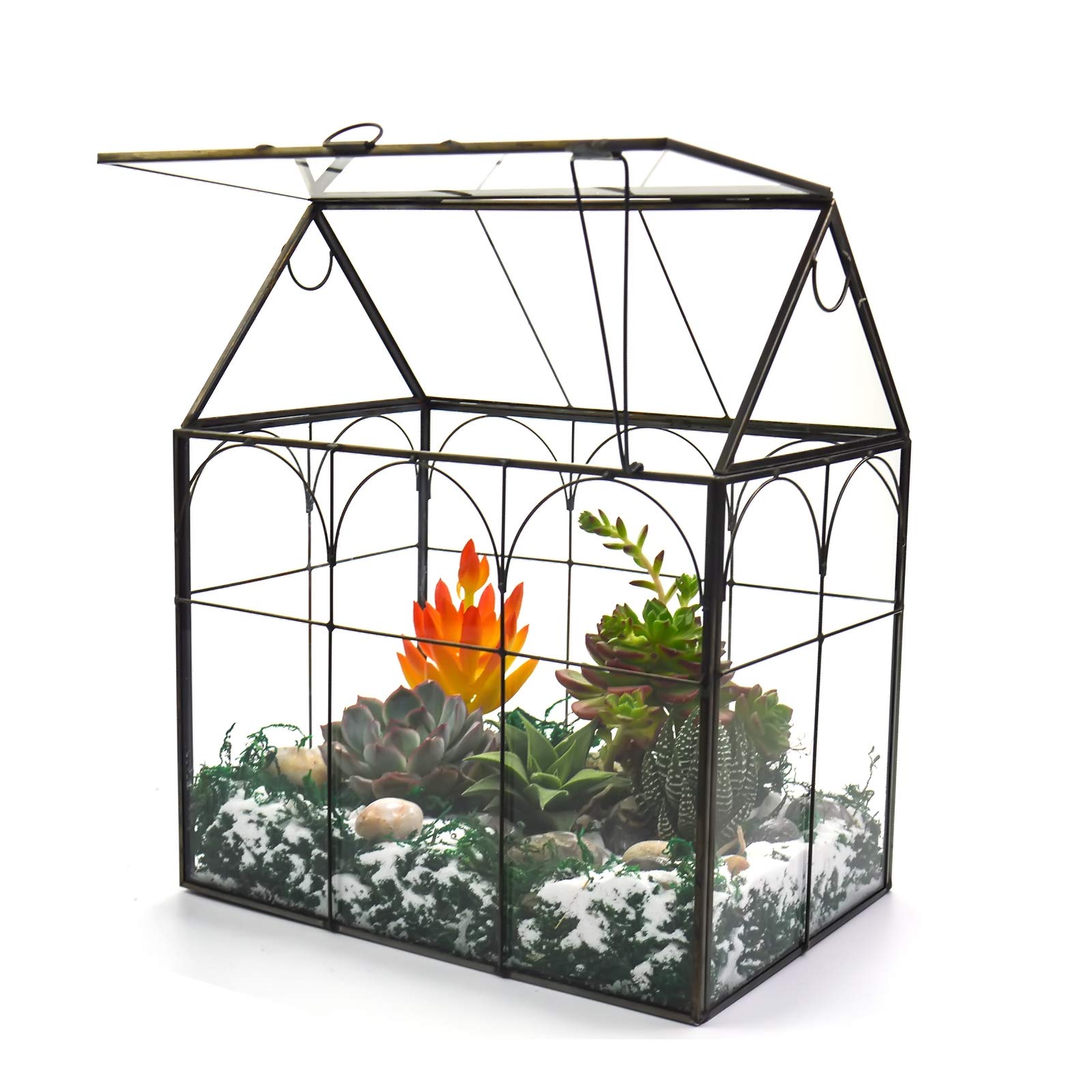 Large Tall Plant Greenhouse Terrarium Glass with Lid, 8.7"X5.9"X10.6" Inches Indoor Tabletop Orchid Succulent Cacti Terrarium Kit NA (House Black A)