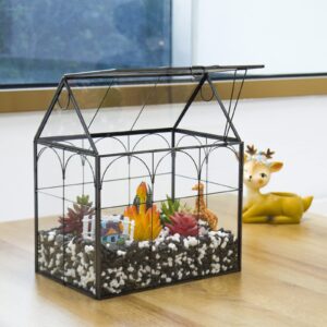 Large Tall Plant Greenhouse Terrarium Glass with Lid, 8.7"X5.9"X10.6" Inches Indoor Tabletop Orchid Succulent Cacti Terrarium Kit NA (House Black A)