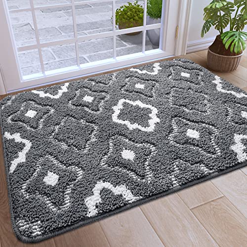 DEXI Door Mats Indoor, Durable Absorbent Non Slip Front Door Rugs for Inside House, Low Profile Easy Clean Entrance Mat, 36"x24", Grey