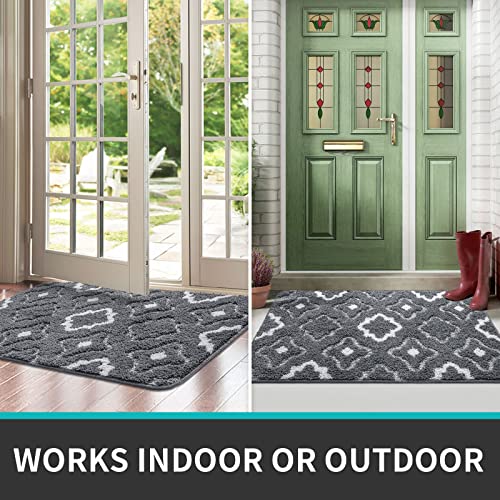 DEXI Door Mats Indoor, Durable Absorbent Non Slip Front Door Rugs for Inside House, Low Profile Easy Clean Entrance Mat, 36"x24", Grey