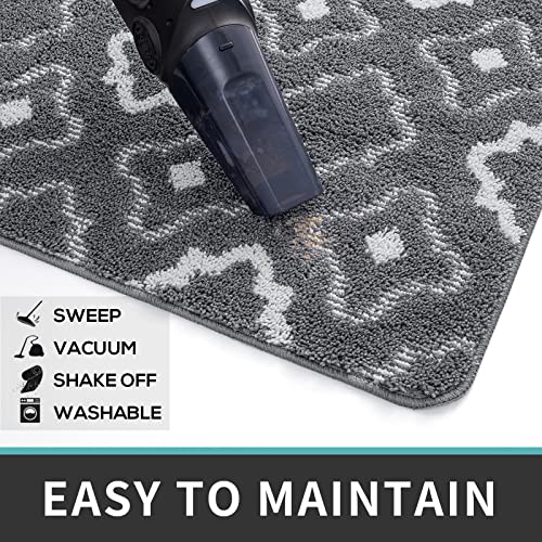 DEXI Door Mats Indoor, Durable Absorbent Non Slip Front Door Rugs for Inside House, Low Profile Easy Clean Entrance Mat, 36"x24", Grey