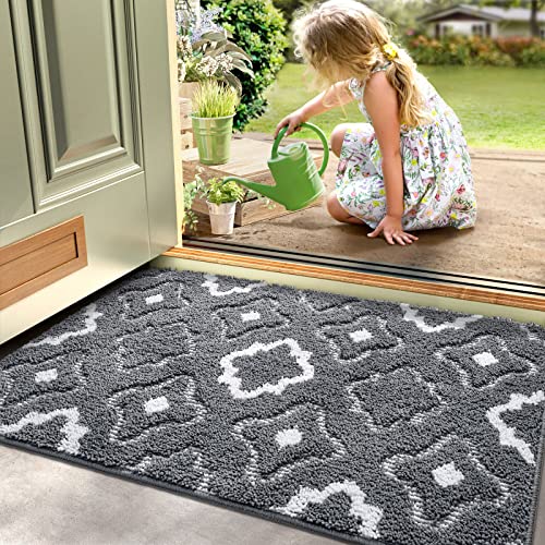 DEXI Door Mats Indoor, Durable Absorbent Non Slip Front Door Rugs for Inside House, Low Profile Easy Clean Entrance Mat, 36"x24", Grey