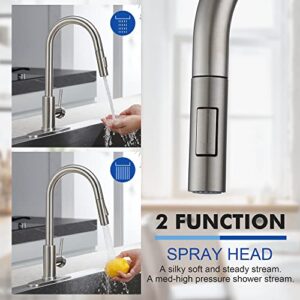 Tohlar Kitchen Sink Faucets with Pull-Down Sprayer, Modern Stainless Steel Single Handle Pull Down Sprayer Faucet with Deck Plate