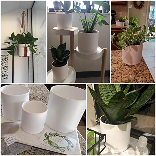 D'vine Dev 4 Inch 5 Inch 6 Inch, Set of 3 Plastic Planter Pots for Plants with Drainage Hole and Seamless Saucers, White Color, Small, 74-E-S-1