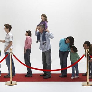 Crowd Control Barriers, Stainless Steel Stanchions and Velvet Ropes, Red Carpet Ropes and Poles for Party Supplies Movie Theater 6PCS