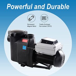 BLUE WORKS 1.5HP Variable Speed Pool Pump, Inground Swimming Pool Pump, 230V, 2 Years USA Warranty, BLPVS2015P