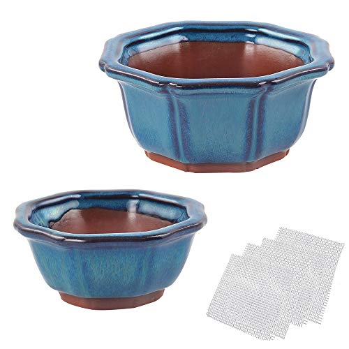 Happy Bonsai 5" Small Glazed Pots, Value Set of 2 + 4 Soft Mesh Drainage Screens