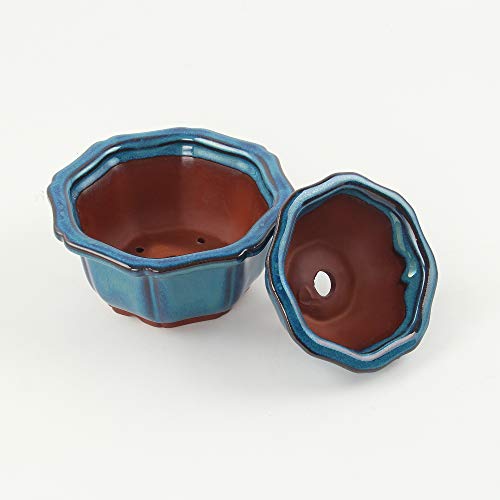 Happy Bonsai 5" Small Glazed Pots, Value Set of 2 + 4 Soft Mesh Drainage Screens