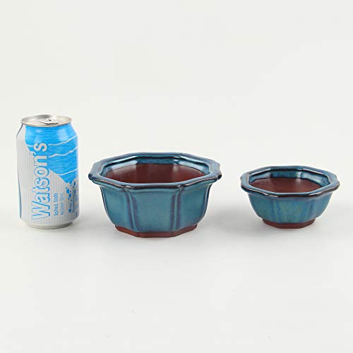 Happy Bonsai 5" Small Glazed Pots, Value Set of 2 + 4 Soft Mesh Drainage Screens