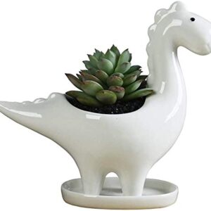 Hica Ceramic Plant Pot Dinosaur Shaped with Tray White Creative Flower Pot for Succulents Plants Multipurpose Vase Home Garden Decor (White)