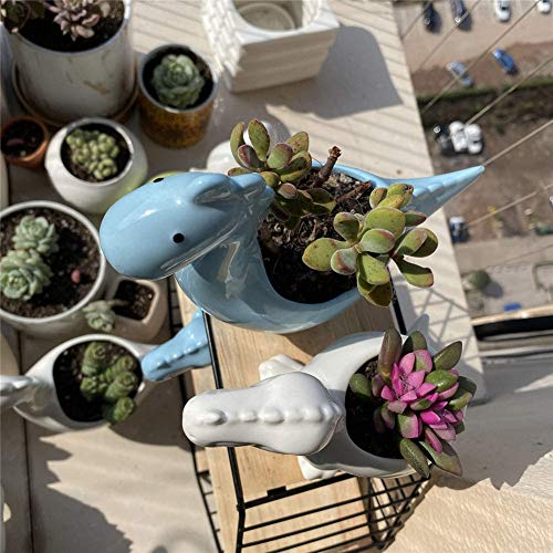 Hica Ceramic Plant Pot Dinosaur Shaped with Tray White Creative Flower Pot for Succulents Plants Multipurpose Vase Home Garden Decor (White)