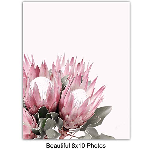 Flower Wall Art for Women - Shabby Chic Floral Home Decor, Decoration - Girls Bedroom, Living Room, Bathroom, Dining Room, Office - Pink Roses, Peonies, Succulents, Tropical Cactus - UNFRAMED 8x10 Set