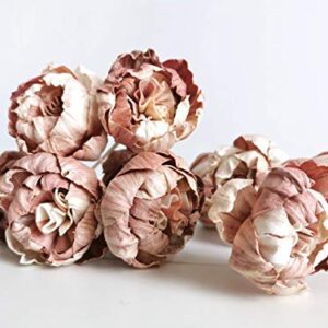 10 Rare Natural Pink Peony 1.5" Sola Flower Reed Diffuser for Home Fragrance Oil by Plawanature.