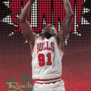 1995-96 NBA Hoops Series 2#376 Dennis Rodman Chicago Bulls RH Official Basketball Trading Card made by SkyBox