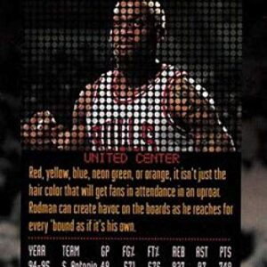 1995-96 NBA Hoops Series 2#376 Dennis Rodman Chicago Bulls RH Official Basketball Trading Card made by SkyBox