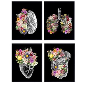 black flower organs - anatomy decor, home wall art- gift for doctor, nurse, physicians assistant, pa - vintage steampunk posters for dr office - heart, lungs, brain -8x10 unframed photo print poster