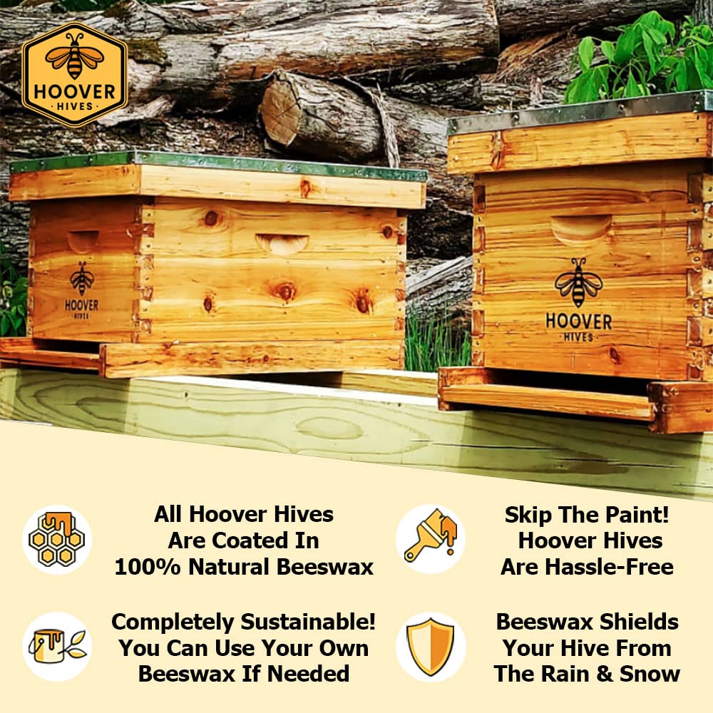 Hoover Hives 10 Frame Bee Hive Starter Kit for Bee Keepers - Langstroth Beehive Kit Comes with 2 Honey Bee Hives Boxes That are Coated in 100% Naturally Organic Beeswax (Unassembled)