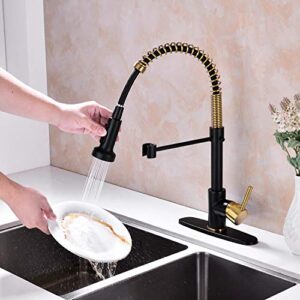 Pirooso Kitchen Sink Faucet, Solid Brass Kitchen Faucet with 3 Function Pull Down Sprayer, Black and Gold Kitchen Faucet