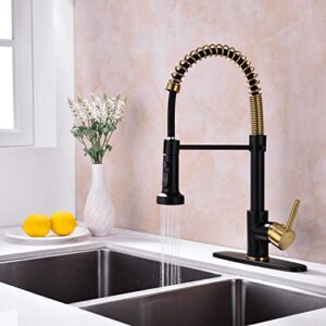 Pirooso Kitchen Sink Faucet, Solid Brass Kitchen Faucet with 3 Function Pull Down Sprayer, Black and Gold Kitchen Faucet