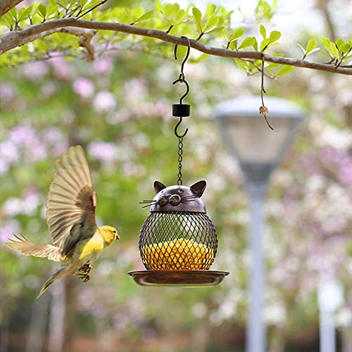 Ant Moat for Hummingbird Feeders 2 Pack Black