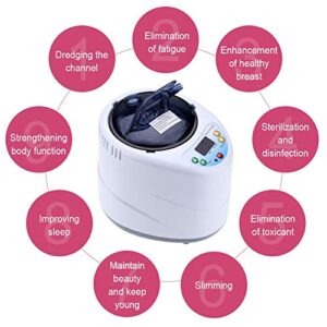 Ejoyous Sauna Steamer Machine for Home, 2L Portable Sauna Steam Generator Fumigation Machine Stainless Steel Pot with Intelligent Remote Control for Sauna Spa Tent Body Detox, US Plug