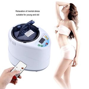 Ejoyous Sauna Steamer Machine for Home, 2L Portable Sauna Steam Generator Fumigation Machine Stainless Steel Pot with Intelligent Remote Control for Sauna Spa Tent Body Detox, US Plug