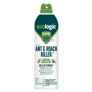 ecologic ant & roach killer, indoor defense, also kills spiders & crickets, (aerosol spray) 14 fl ounce