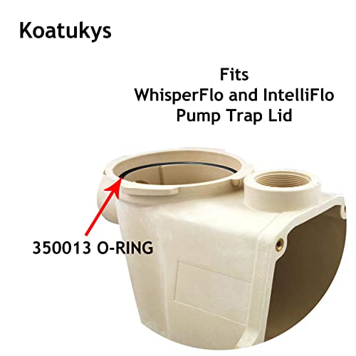 350013 O-Ring For WhisperFlo and IntelliFlo Pump Trap Lid (1/Pack)