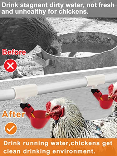 Automatic Poultry Drinking Cups-6 Pack Chicken Waterer Drinking Cups and 6 Pack Chicken Waterer PVC Tee Fittings for Chicken Quail Duck