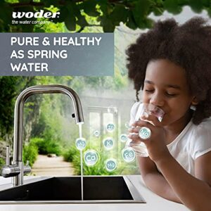 Woder WD-D-20M-ADV-DC Water Filtration System - Sediment Filter and Advanced Water Filter. Under-Sink Water Purifier. Removes Sediments, Sand, Scale, Chlorine, Lead, Contaminants and Odors - USA Made