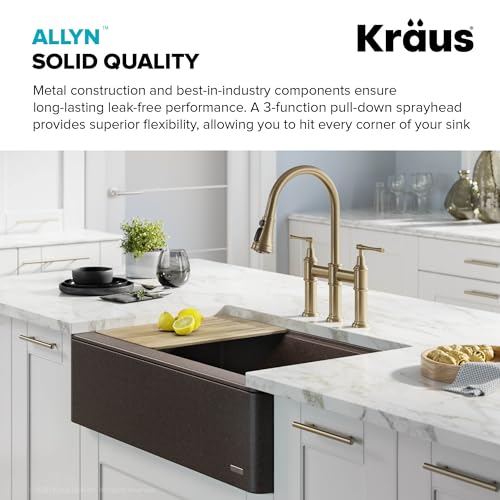 KRAUS Allyn Transitional Bridge Kitchen Faucet and Water Filter Faucet Combo in Brushed Gold, KPF-3121-FF-102BG